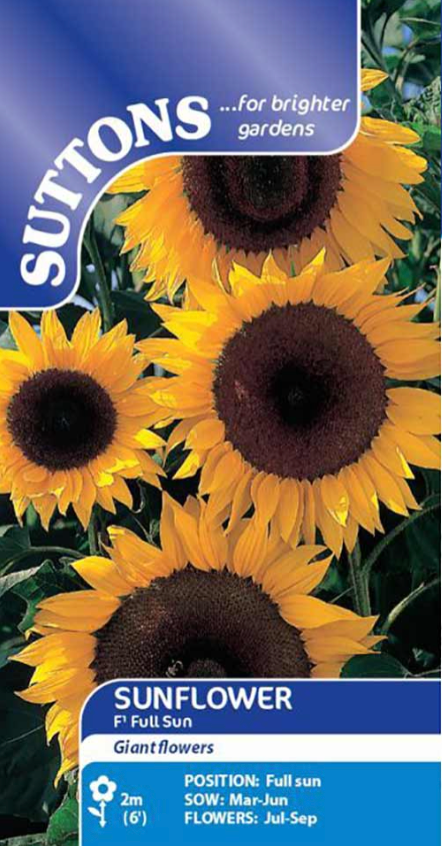 Suttons Seeds - Sunflower F1 'Full Sun' – The Seed Company by E.W. Gaze