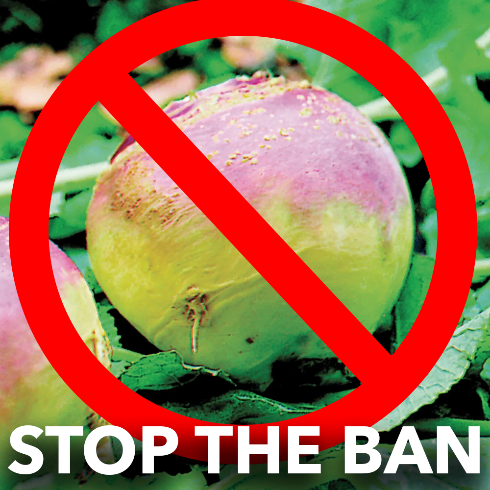 STOP THE BAN ON TURNIP SEEDS!! – The Seed Company by E.W. Gaze