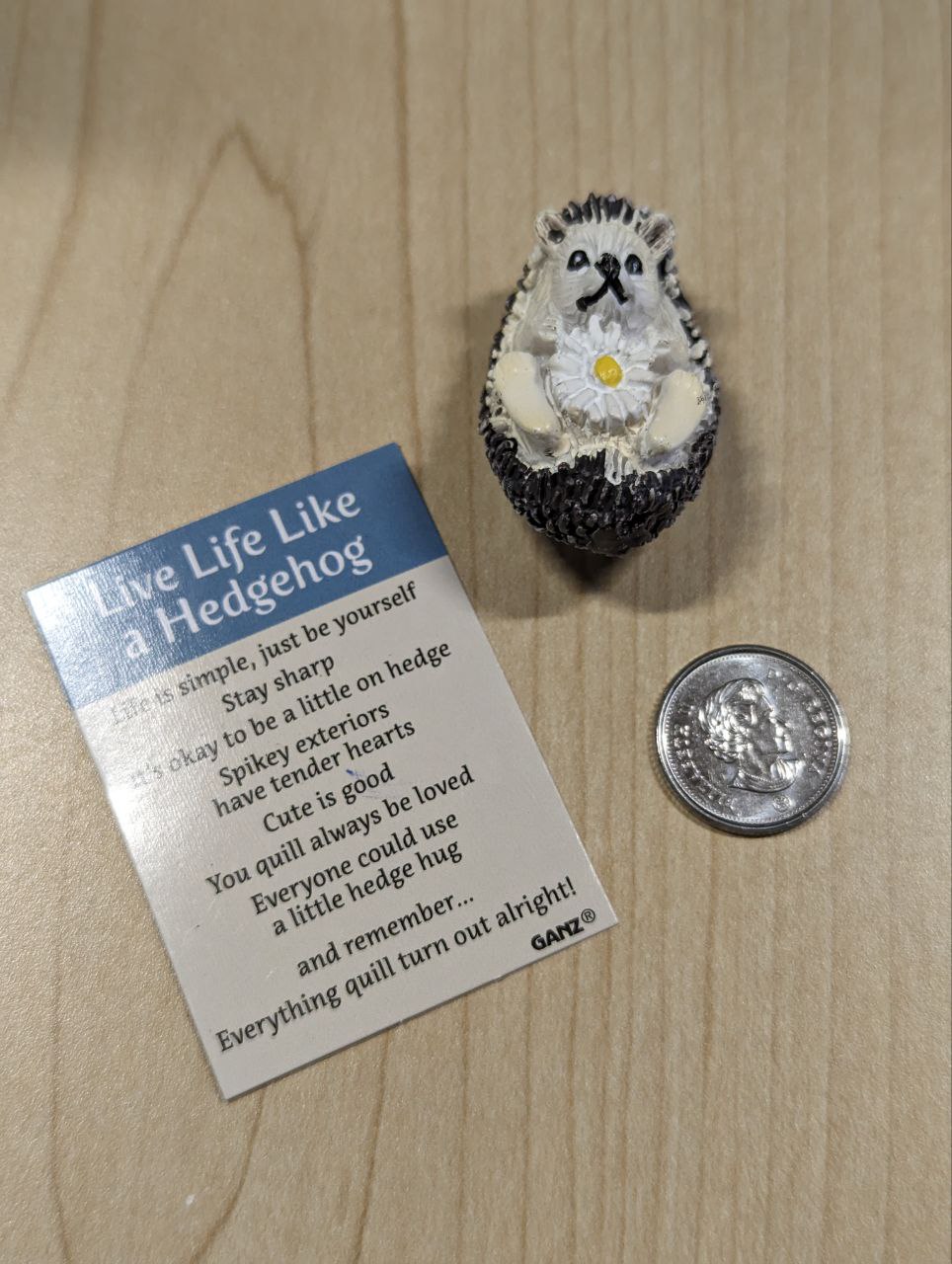Good Luck Charm - Live Life Like a Hedgehog – The Seed Company by E.W. Gaze