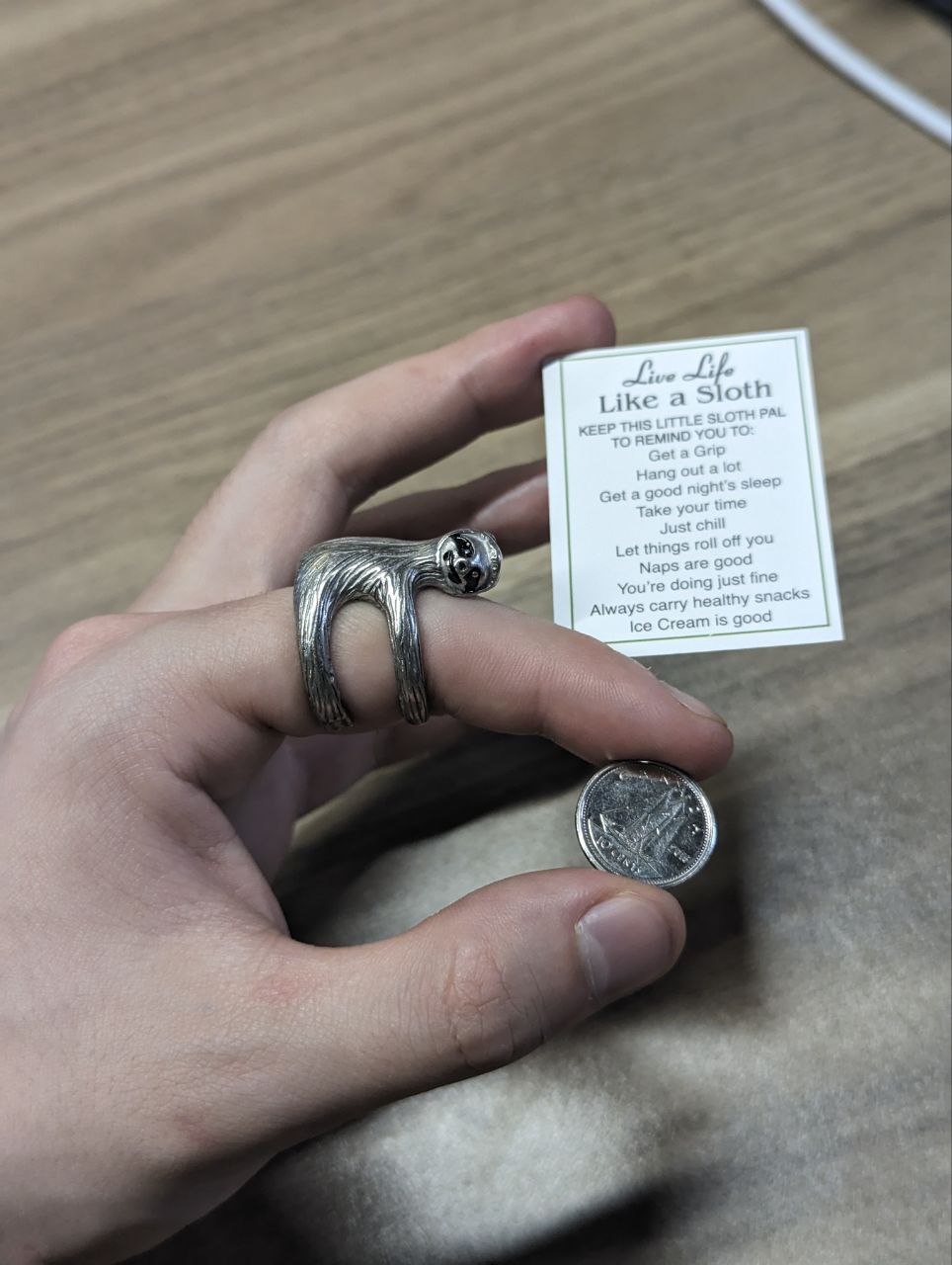 Good Luck Charm - Sloth – The Seed Company by E.W. Gaze