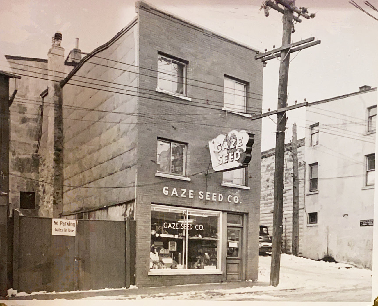 Stud Earrings | Bog Laurel on blue | Medium, Round | Stainless Steel ( – The Seed Company by E.W ...