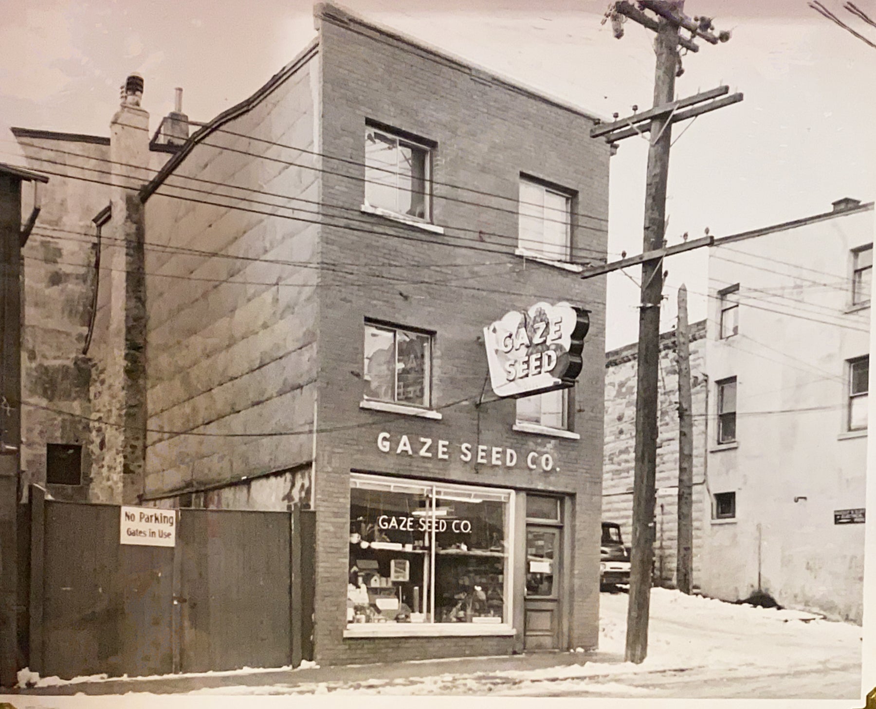 Doctor Doom - The Original Rodent Repellent – The Seed Company by E.W. Gaze