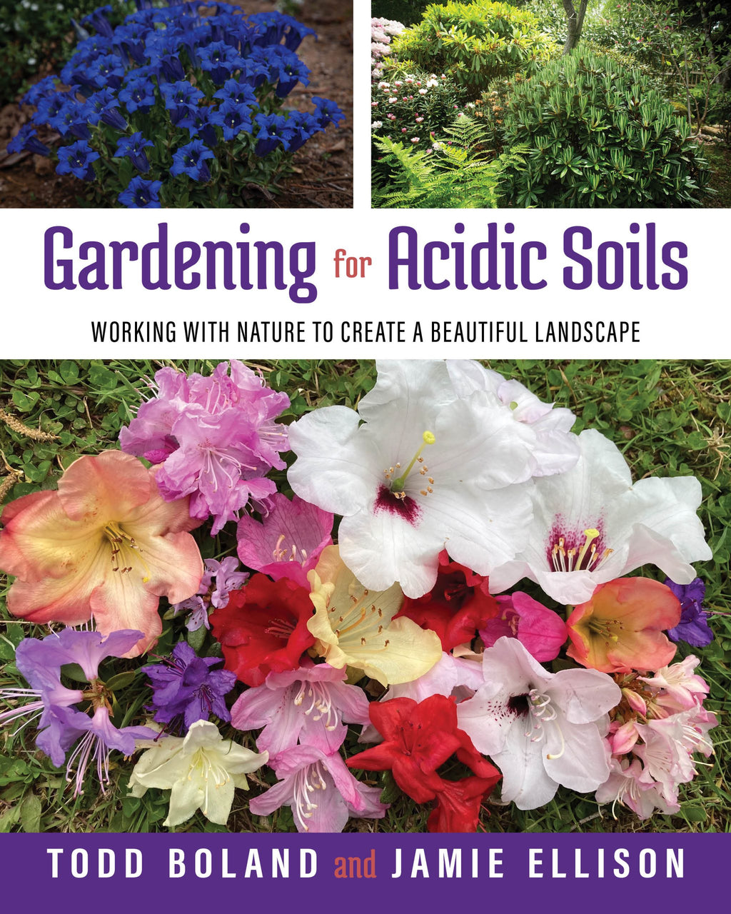 Gardening for Acidic Soils by Todd Boland and Jamie Ellison – The Seed ...