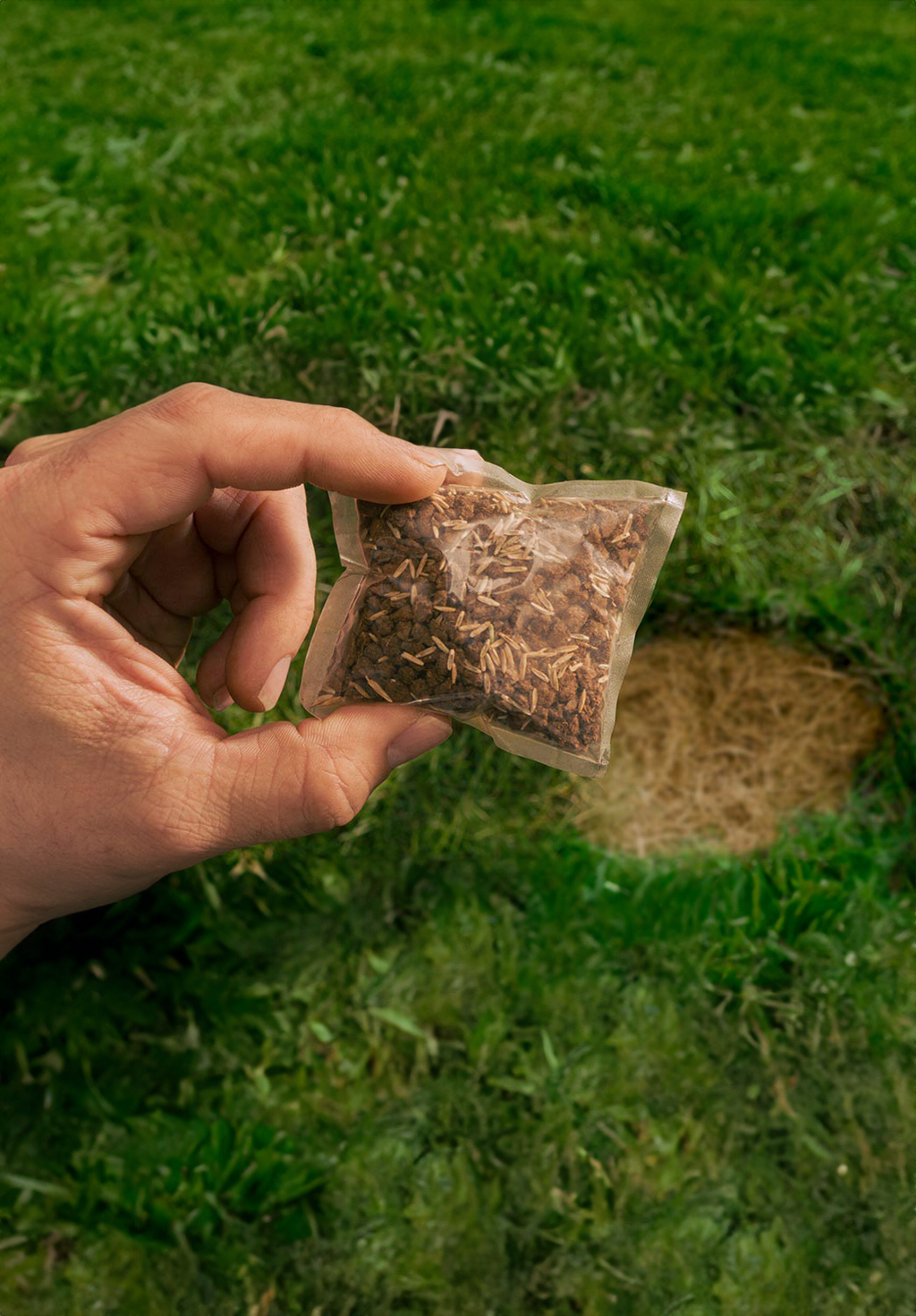 Rapid Repair Grass Pods 15pk – The Seed Company by E.W. Gaze