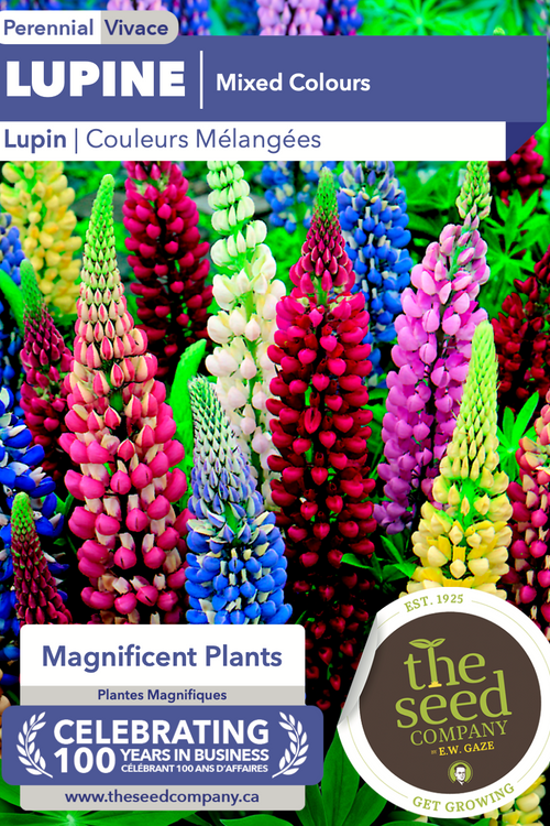 Perennial Flower Seeds – The Seed Company by E.W. Gaze