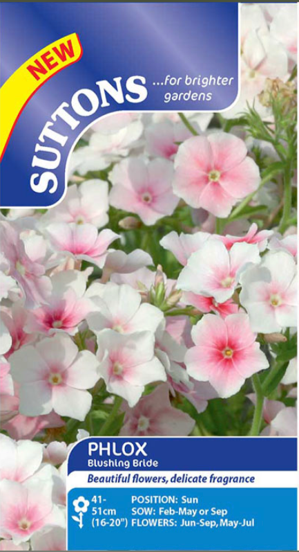 Suttons Seeds - Phlox drummondii 'Blushing Bride' – The Seed Company by ...