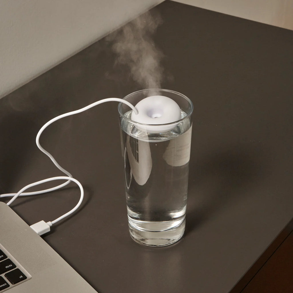 Floatie Humidifier – The Seed Company by E.W. Gaze