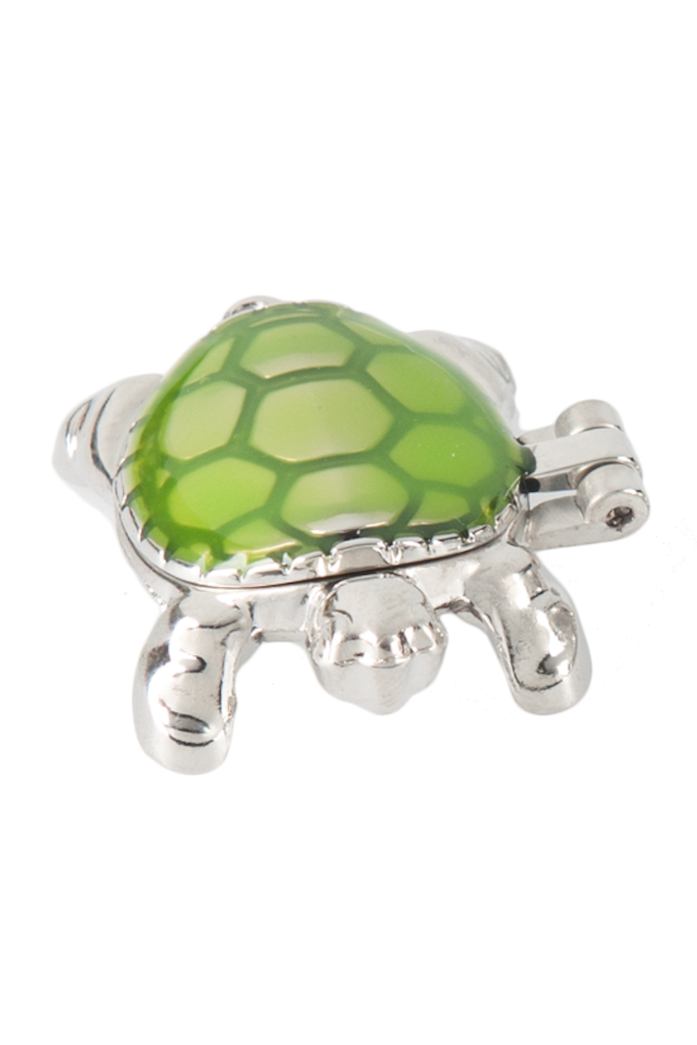 Good Luck Charm - Lucky Turtle Wish Box – The Seed Company by E.W. Gaze