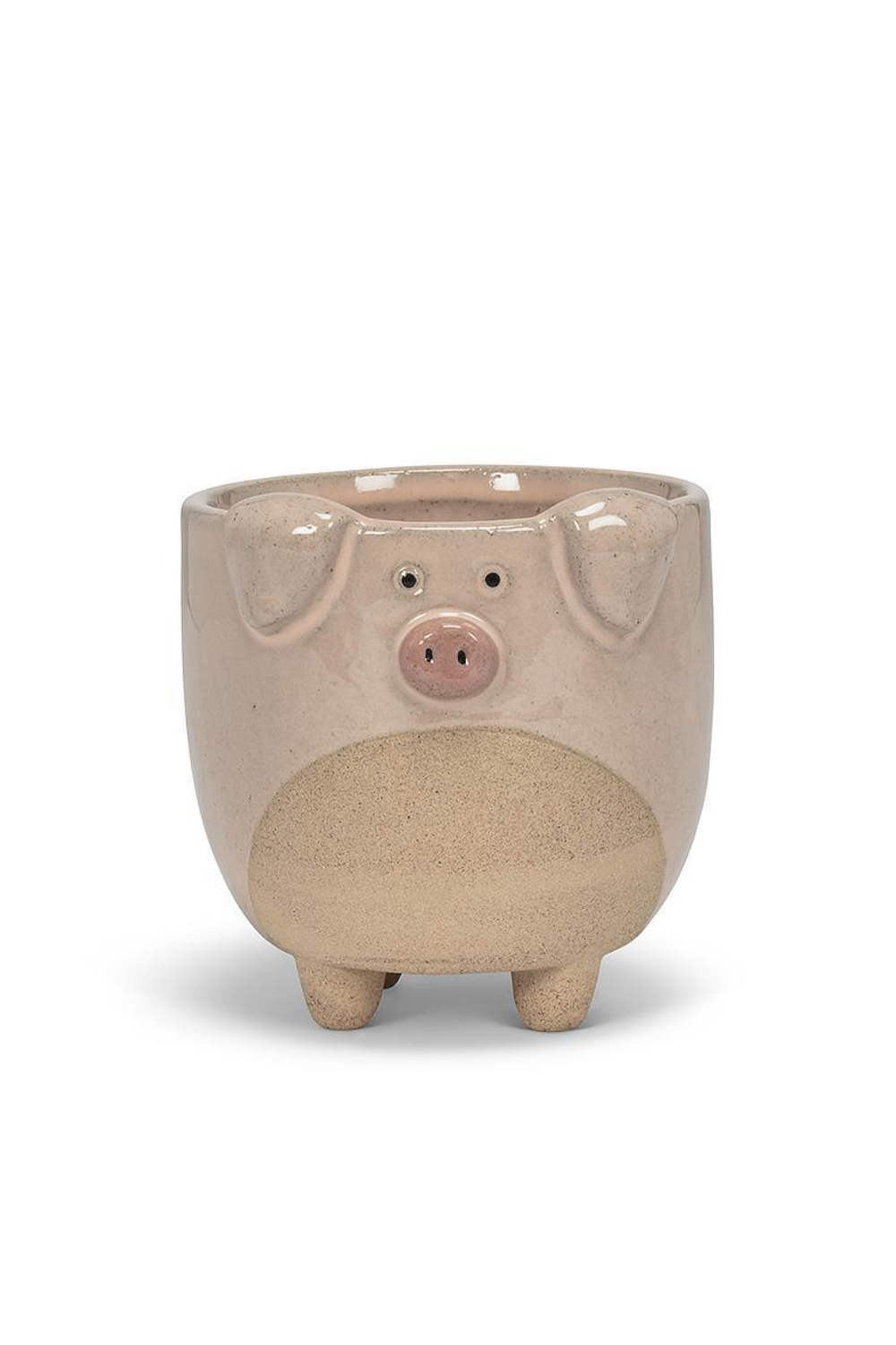 Abbott - Large Pig on Legs Planter 4" – The Seed Company by E.W. Gaze