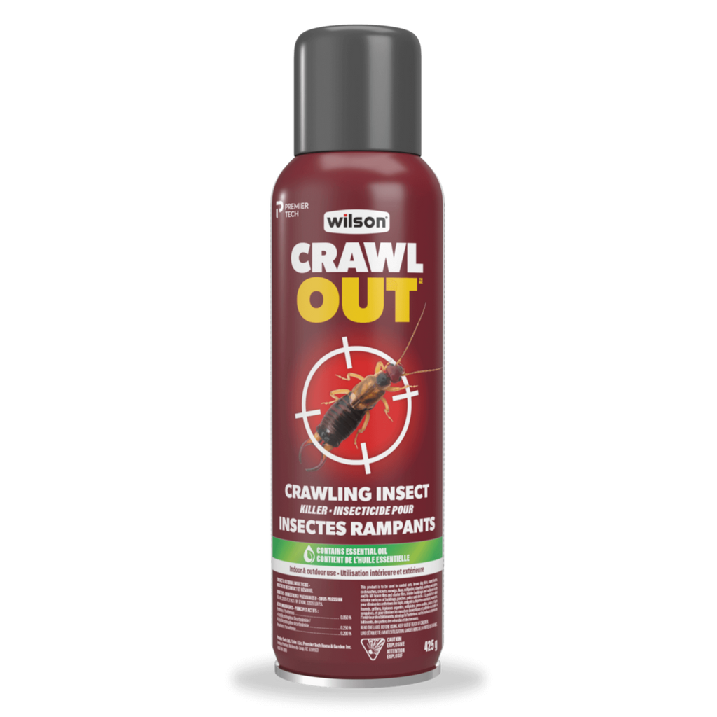 Wilson - Crawl Out Aerosol Spray 425g – The Seed Company by E.W. Gaze