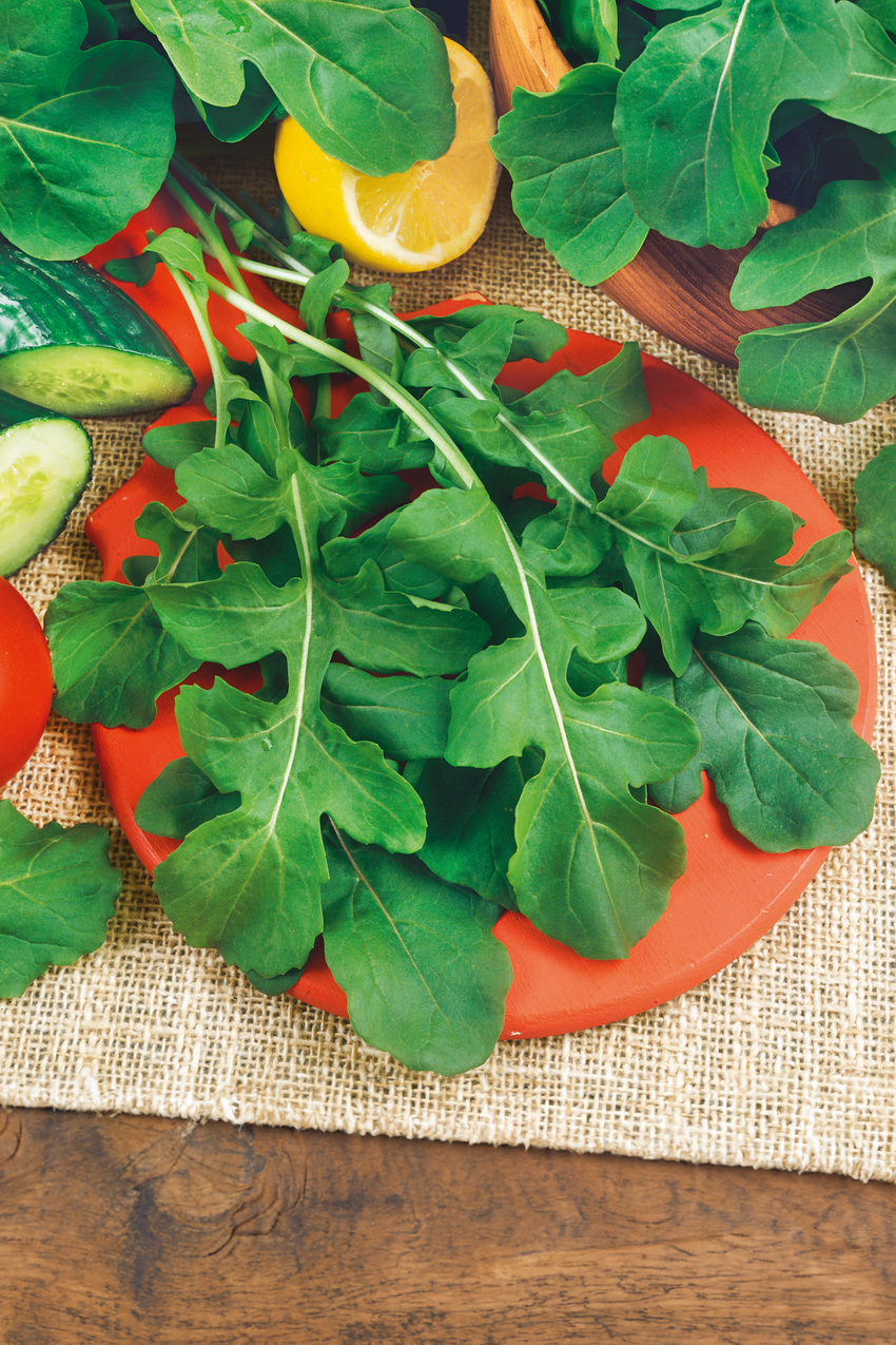 Herb Seeds – The Seed Company by E.W. Gaze