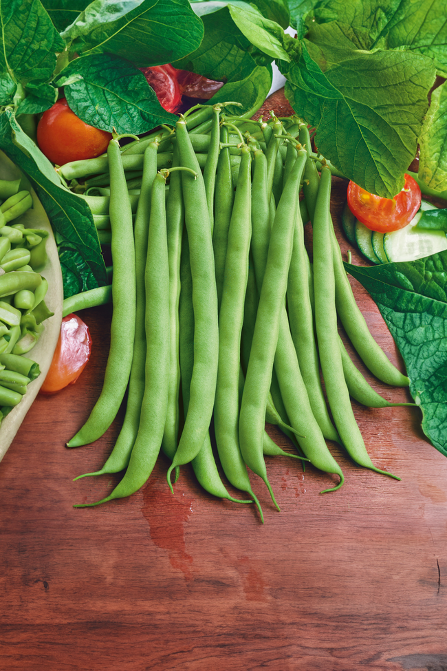 vegetable seeds – The Seed Company by E.W. Gaze