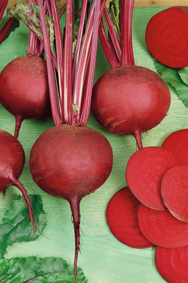 All Seeds – The Seed Company by E.W. Gaze