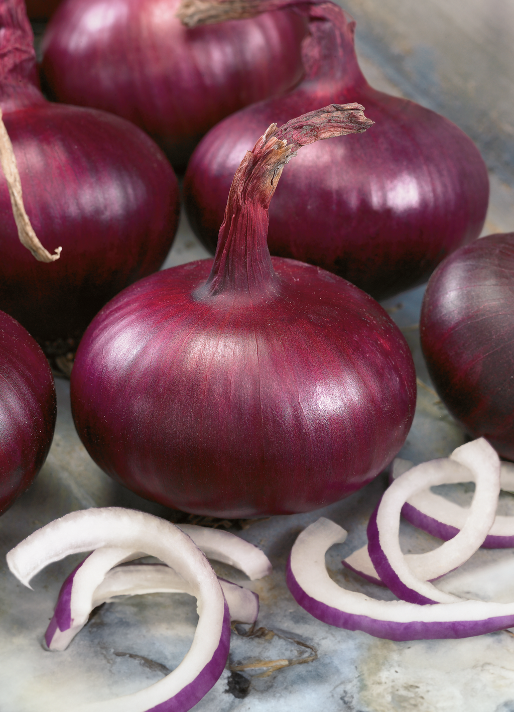 Onion | Red Burgundy – The Seed Company by E.W. Gaze
