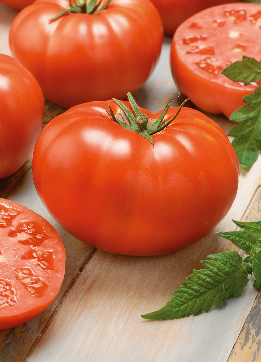 Tomato | Beefsteak (Bush) – The Seed Company by E.W. Gaze