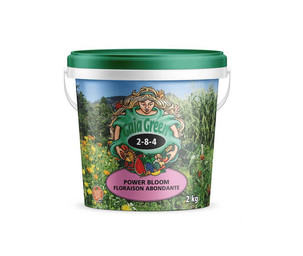 Gaia Green 2-8-4 Power Bloom Organic Fertilizer 2kg bucket – The Seed ...