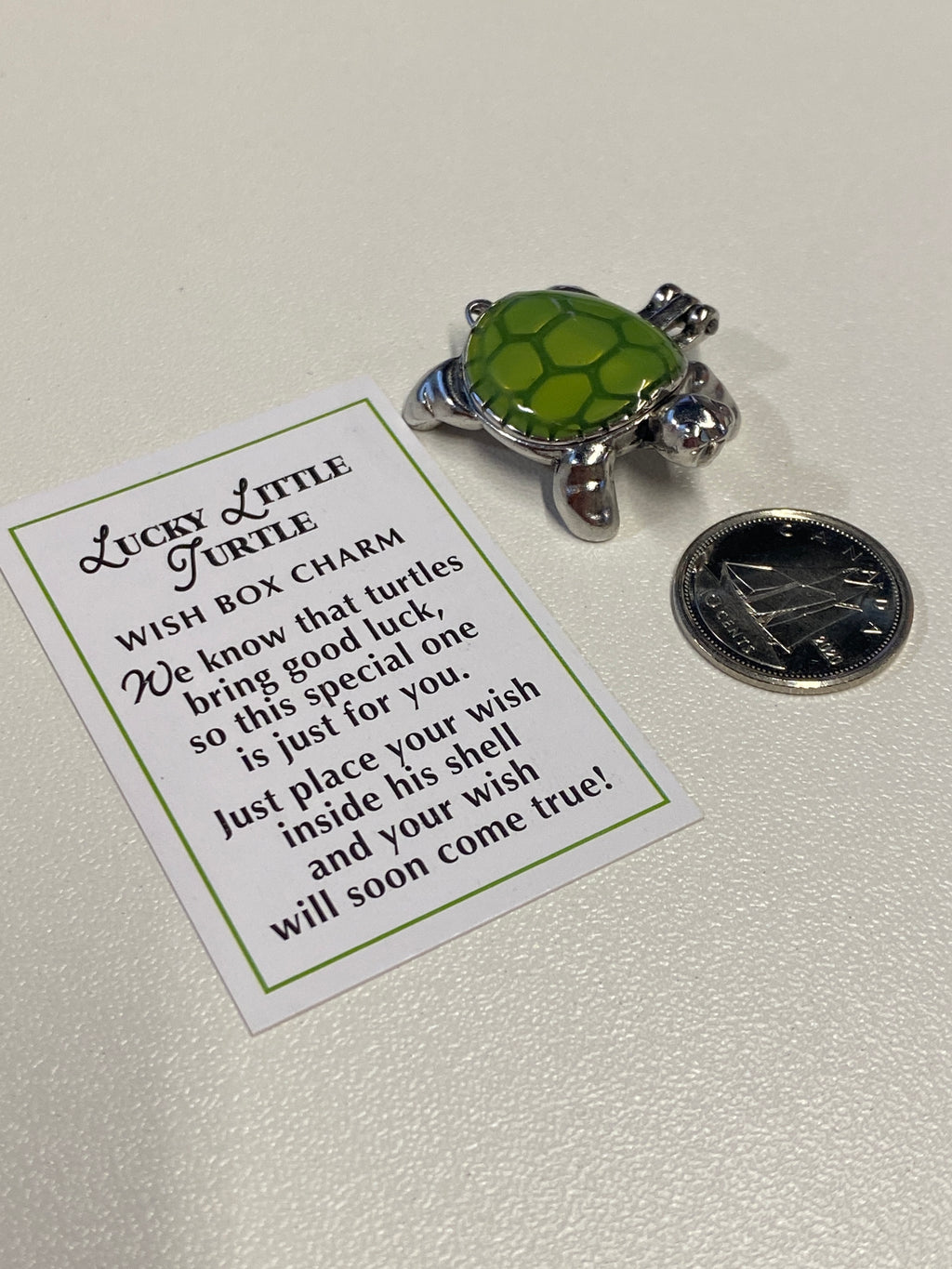 Good Luck Charm - Lucky Turtle Wish Box – The Seed Company by E.W. Gaze