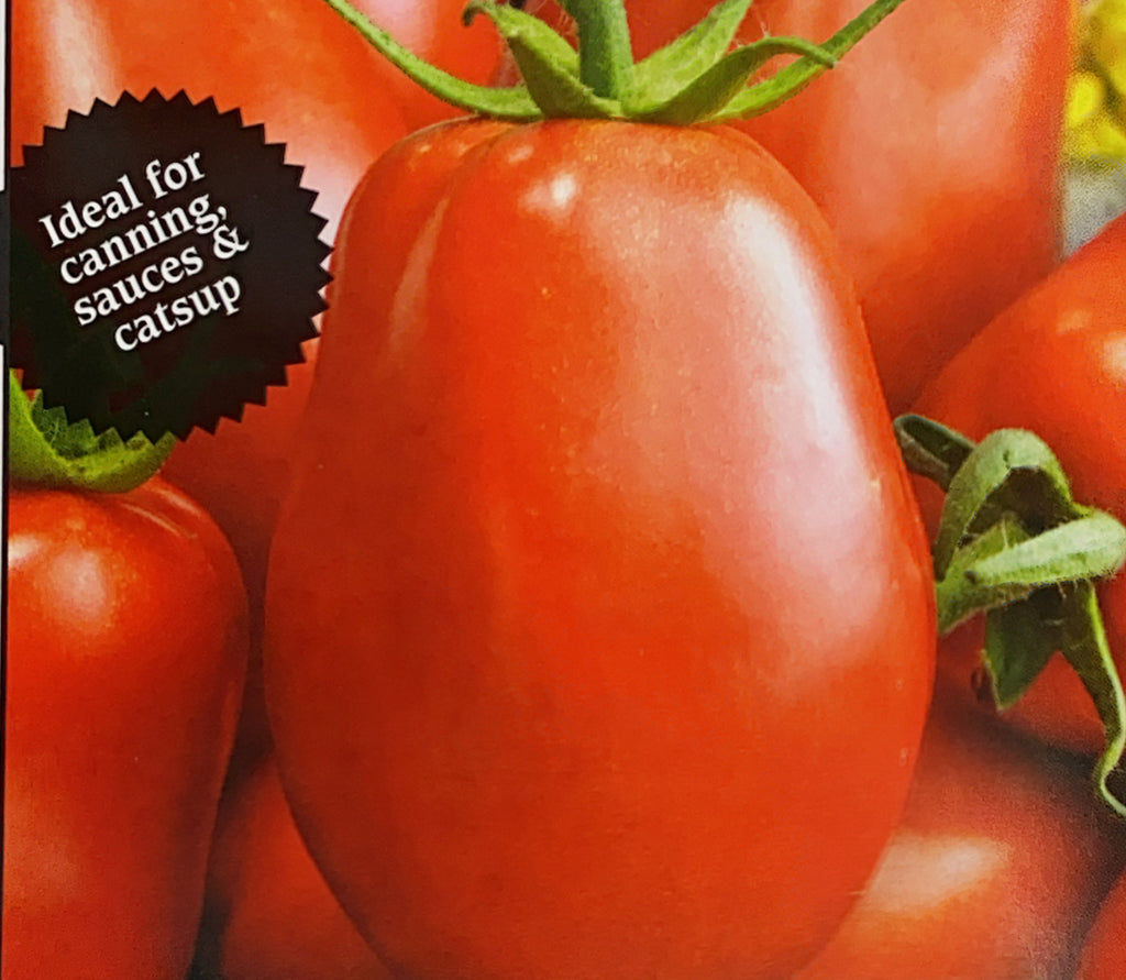 Tomato | Roma (Bush) – The Seed Company by E.W. Gaze