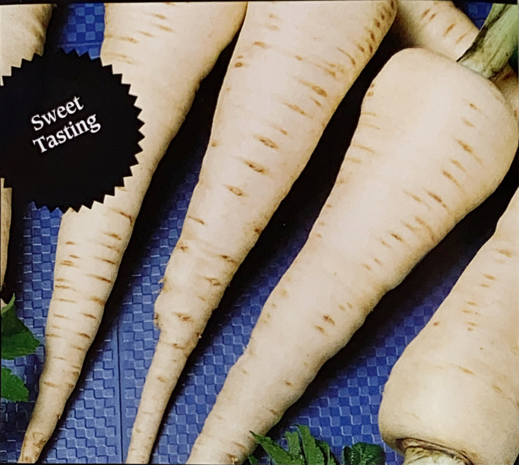Parsnip | Albion Pelleted – The Seed Company by E.W. Gaze