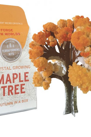 For Kids – The Seed Company by E.W. Gaze