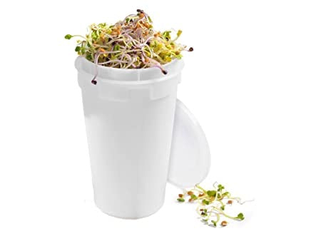 EasySprout Sprouting Cup – The Seed Company by E.W. Gaze