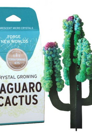 For Kids – The Seed Company by E.W. Gaze