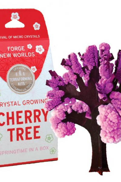 For Kids – The Seed Company by E.W. Gaze